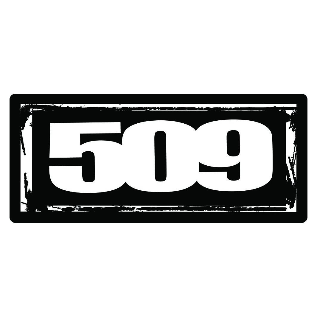 Стикер 509 Logo 24, 2020